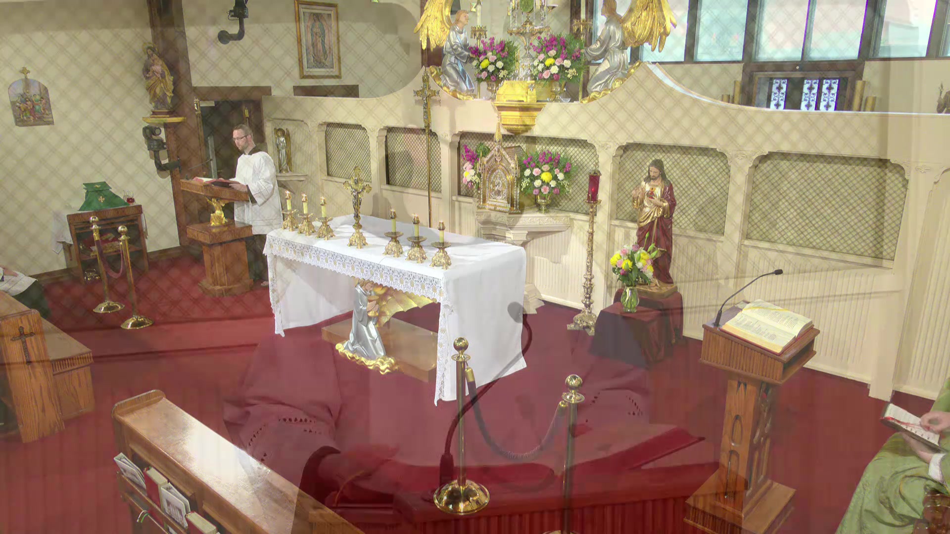 EWTN Global Catholic Television Network: Catholic News, TV, Radio | EWTN