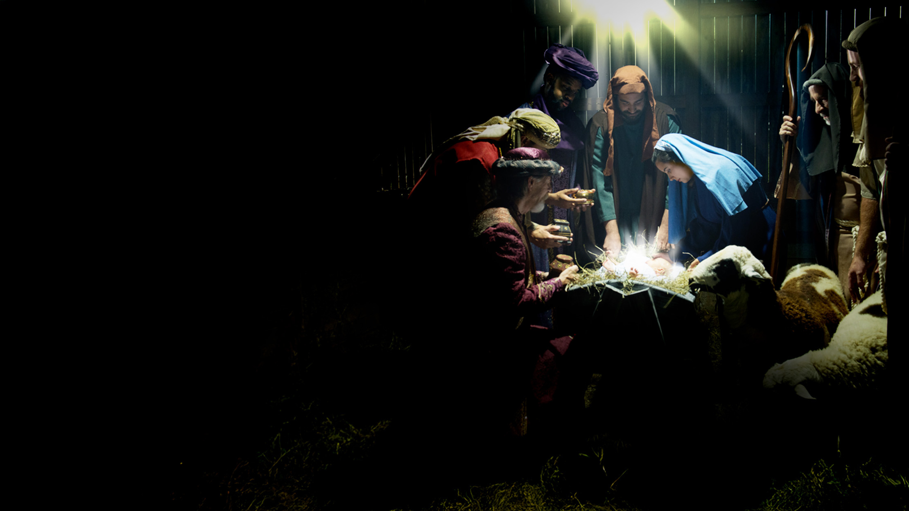 The EWTN Family Christmas Special